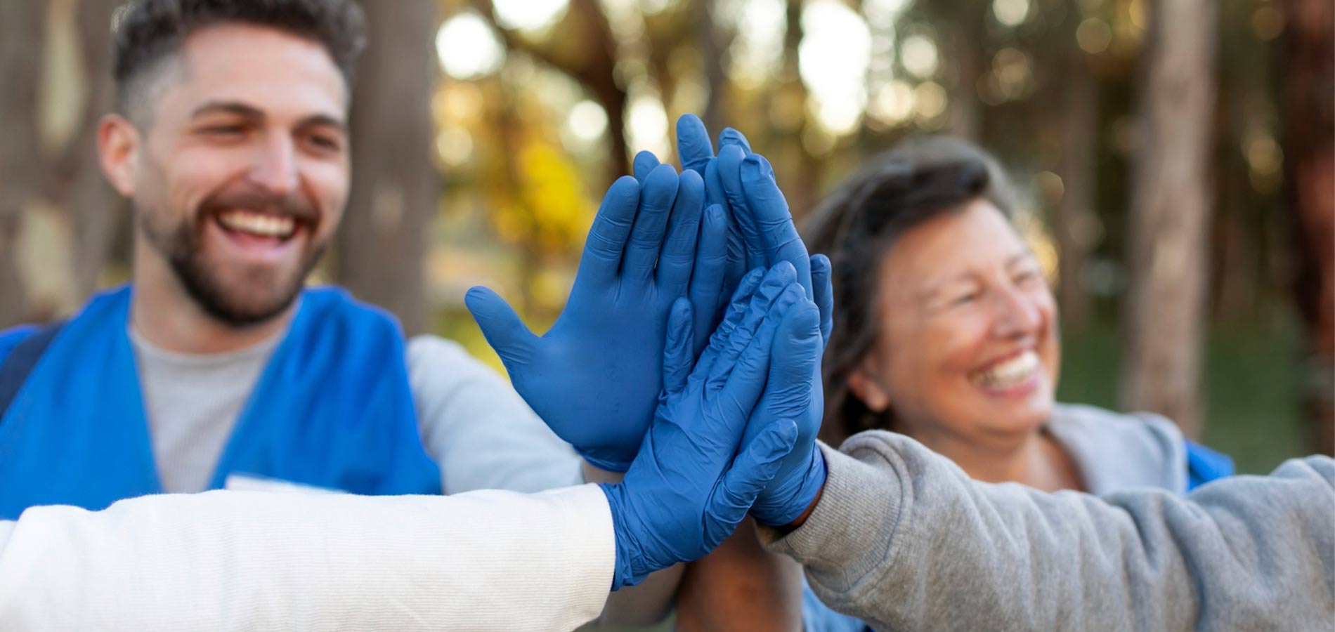 Model Information - Regen Med Academy